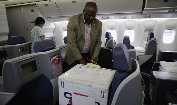 Experimental Ebola drug Zmapp arrives in Africa but only TWELVE doses