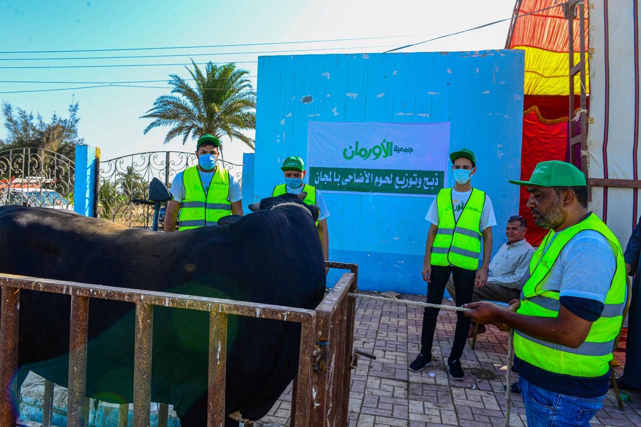 تضامن الغربية: خطة متكاملة قبل عيد الأضحى لدعم الأسر الأولي بالرعاية